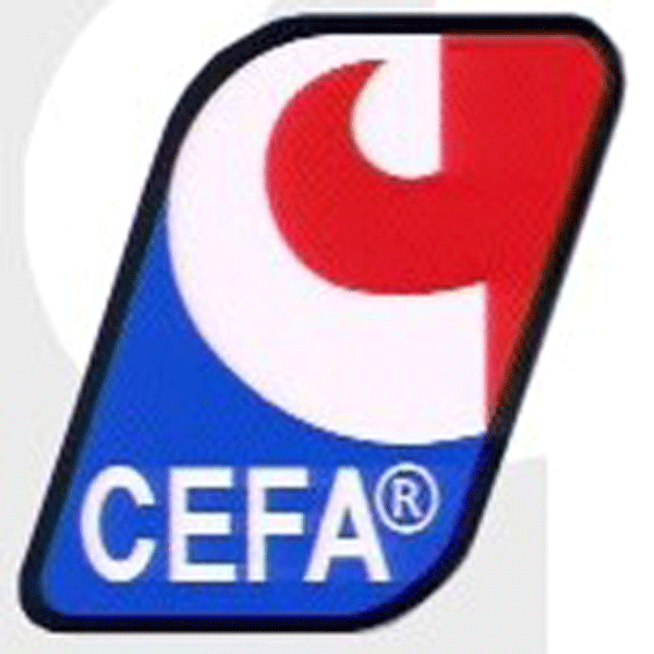 CEFA – Cluster IDiA, innovación colaborativa entre empresas intensivas ...